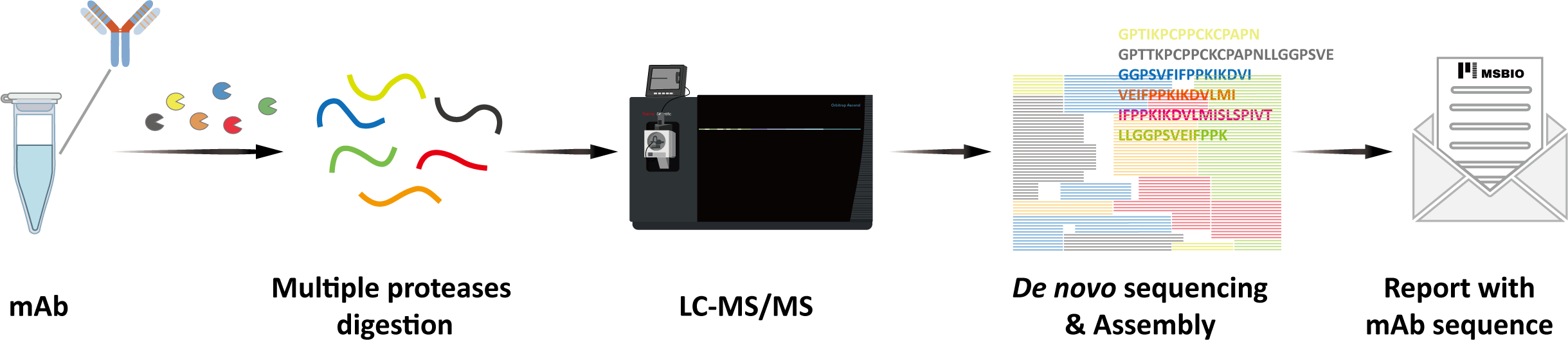 MSBIO Denovo_sequencing