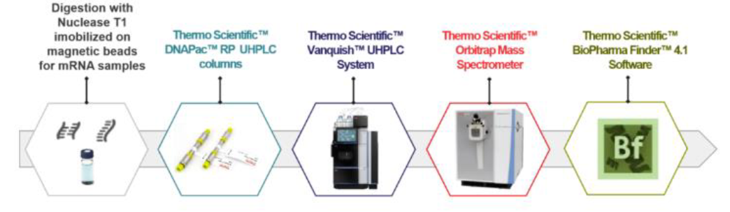 MSBIO Sequencing_(mapping)